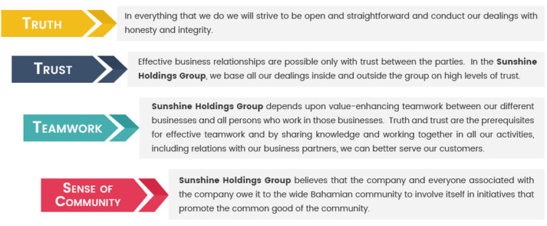 Company Overview - Sunshine Holdings Limited